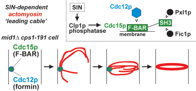在Scitable学习科学 - beplay体育官方网站首页