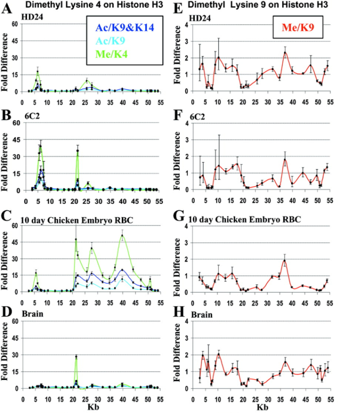 染色质免疫沉淀反应和组蛋白修饰在Scitable |学习科学 - beplay体育官方网站首页