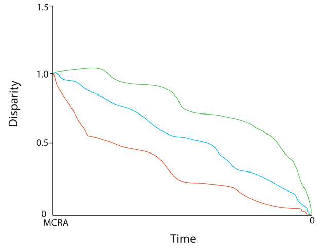 生态机会:适应性辐射的触发|在Scitable学习科学 - beplay体育官方网站首页