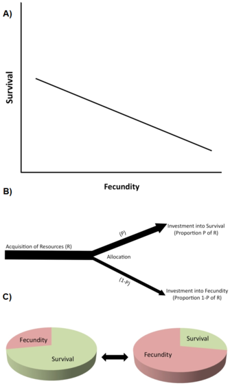 在Scitable学习科学 - beplay体育官方网站首页